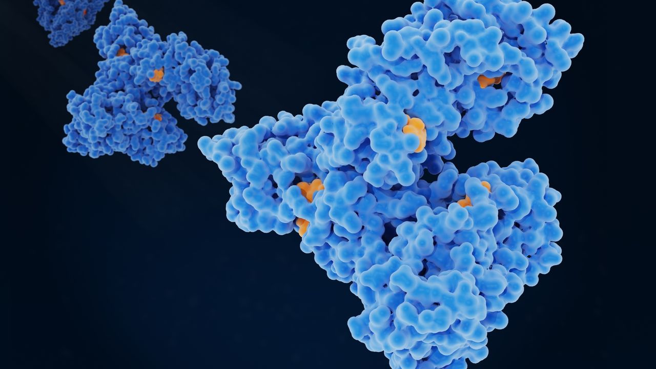 UPDATED: ITC blocks Chinese imports of rice-derived rHSA products afte ...